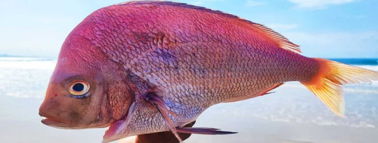 Durban Beachfront Restaurant | Surfriderscafe